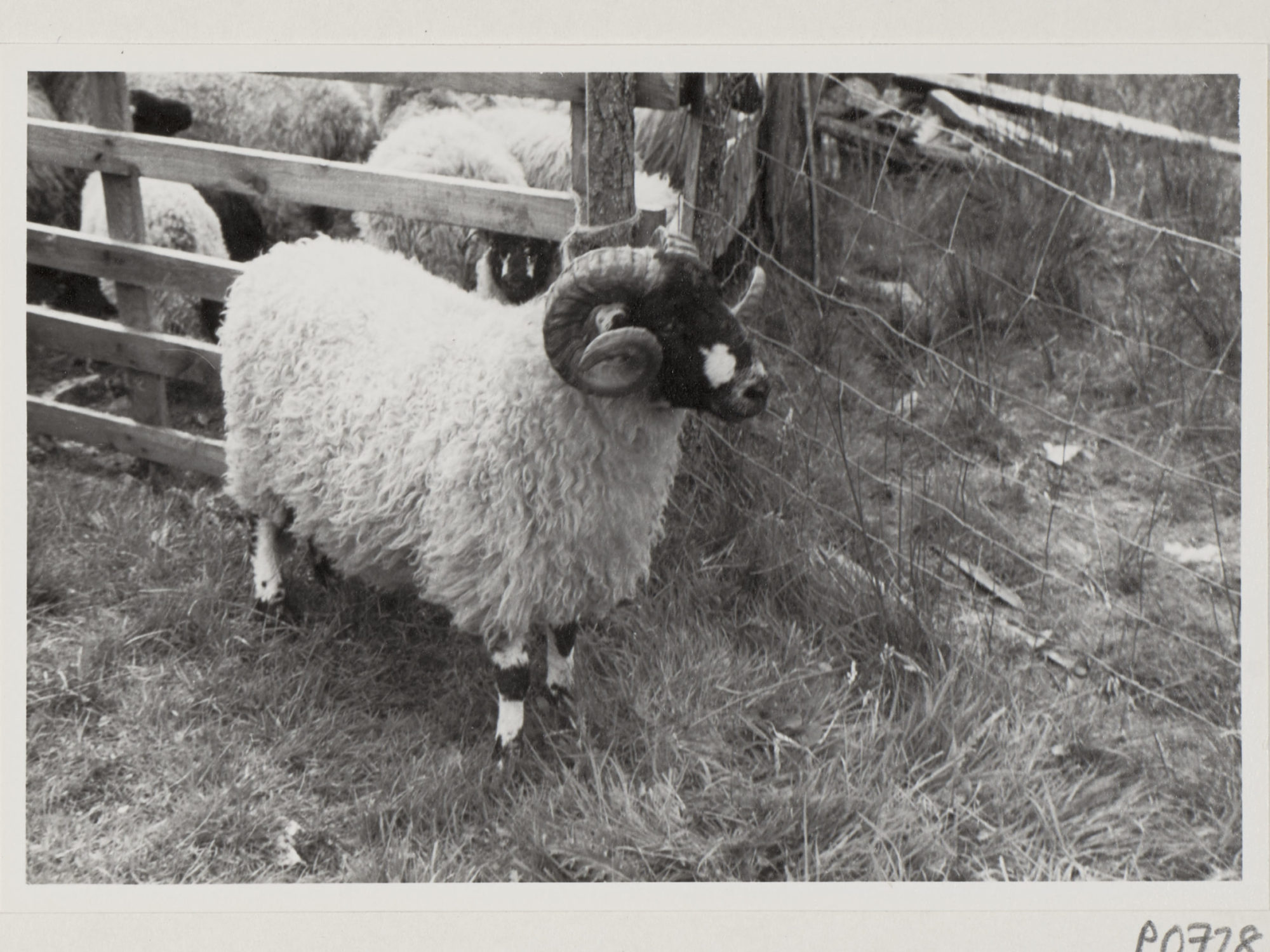 Spotlight on The Dales Archives - The Dialect and Heritage Project