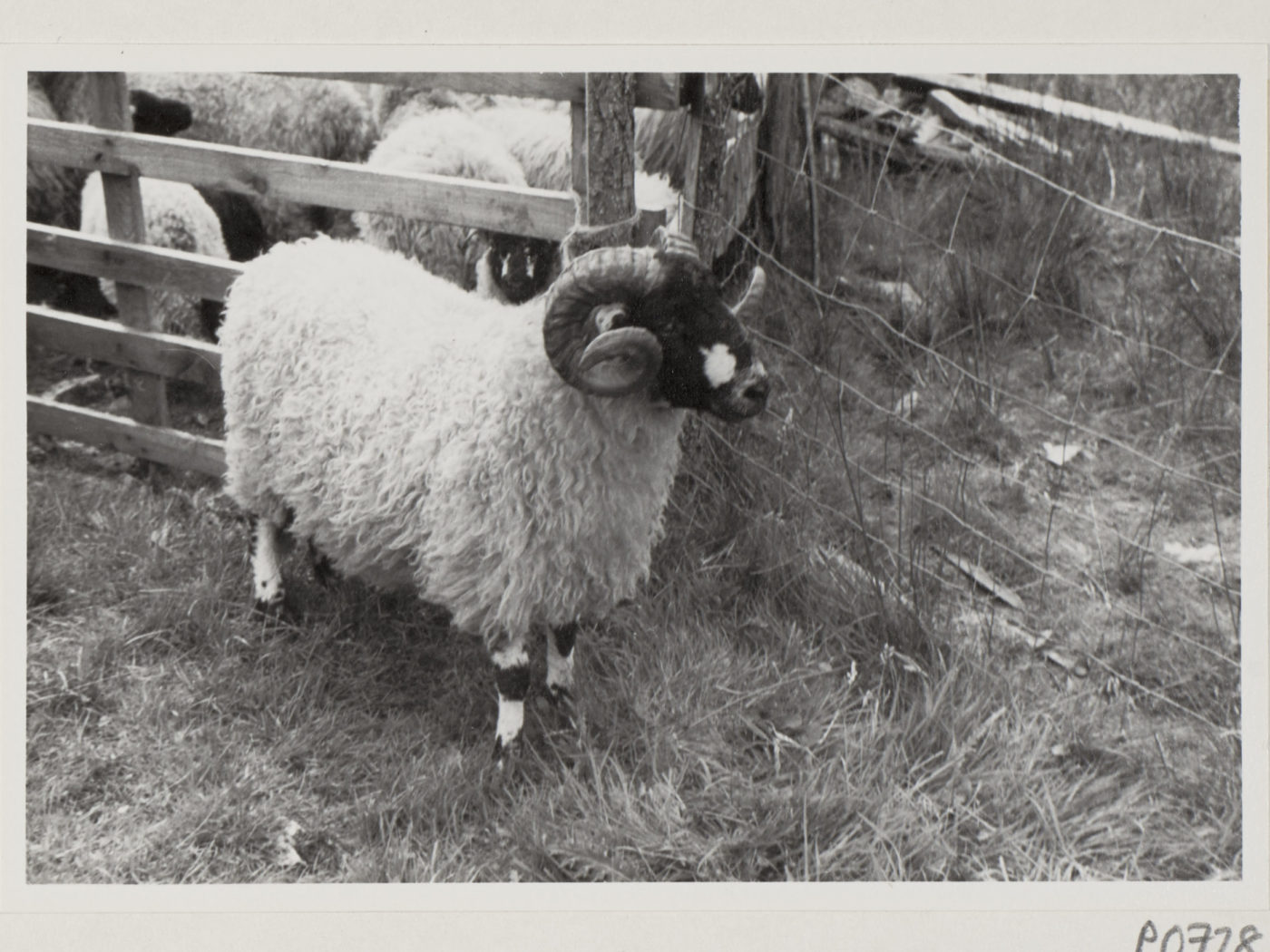 Tuddenham, Suffolk - The Dialect and Heritage Project