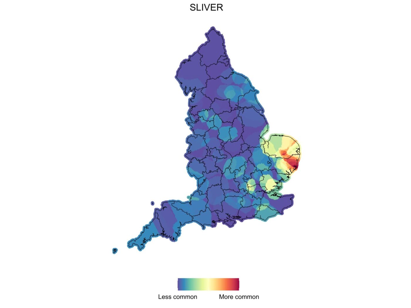 Getting under your skin - The Dialect and Heritage Project