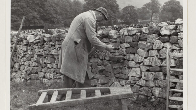 In your words map - The Dialect and Heritage Project