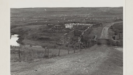 In your words map - The Dialect and Heritage Project
